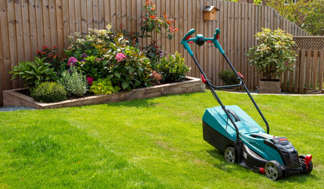 5 Best Lawnmowers For Beginners - Crate and Basket