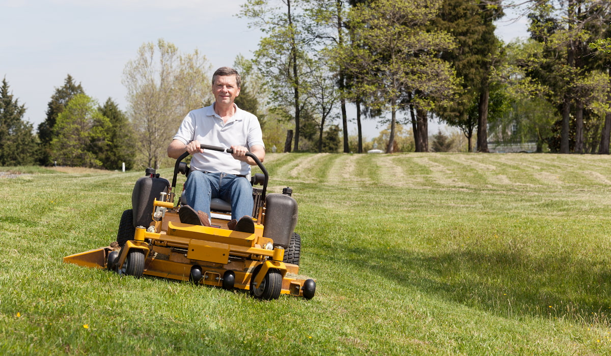 7 Types of Lawnmowers (with Prices) - Crate and Basket