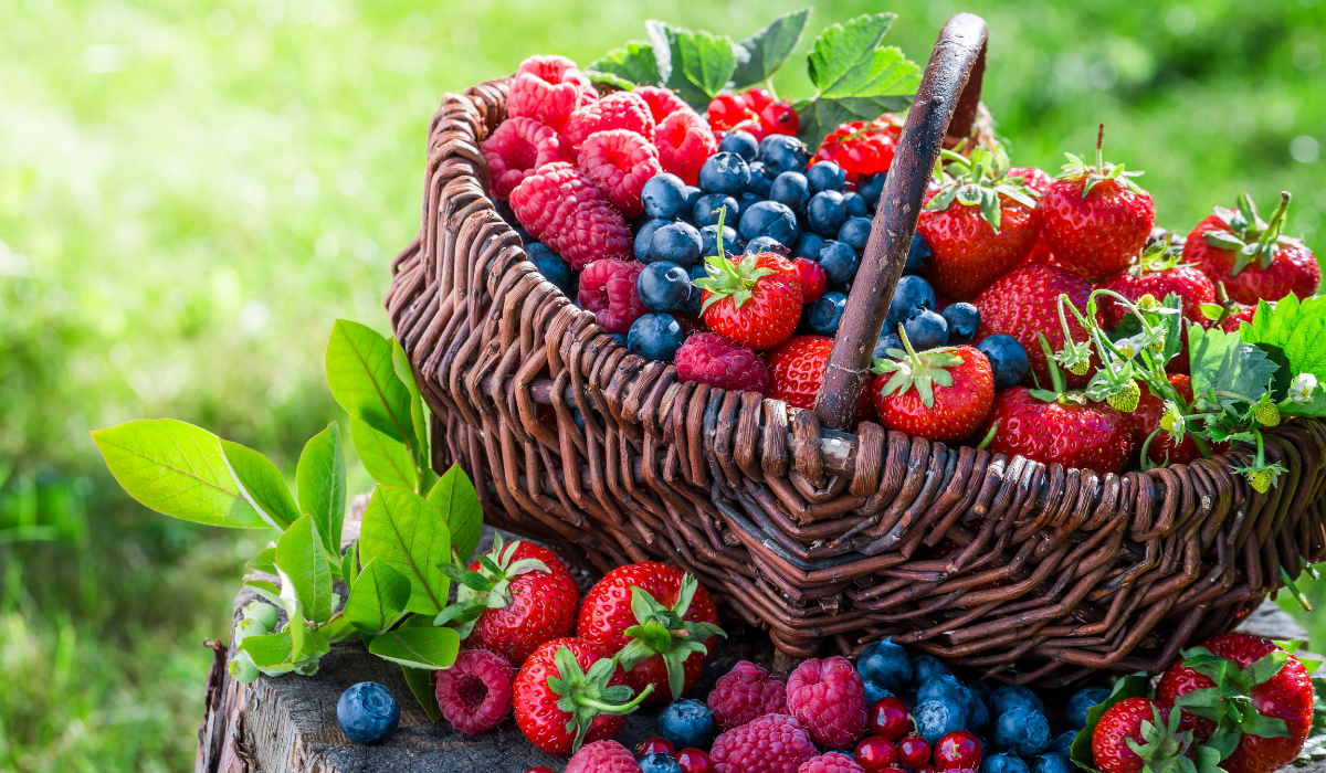 9 Types of Edible Berries - Crate and Basket