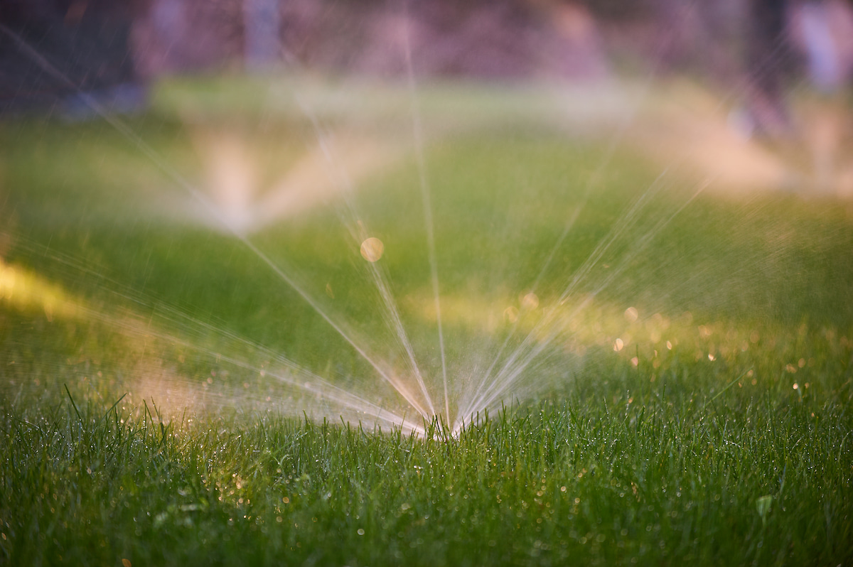 8 Types of Lawn Sprinklers - Crate and Basket