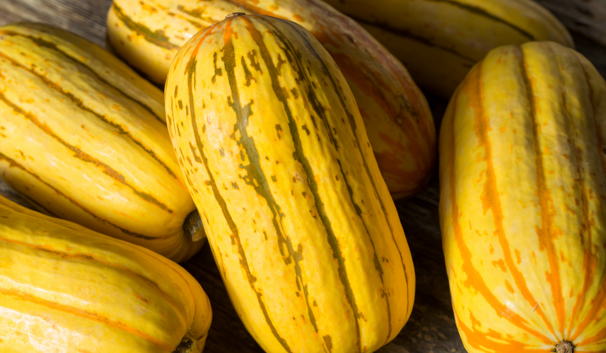 5 Vegetables That Can Be Cross-Pollinated With Pumpkin - Crate and Basket