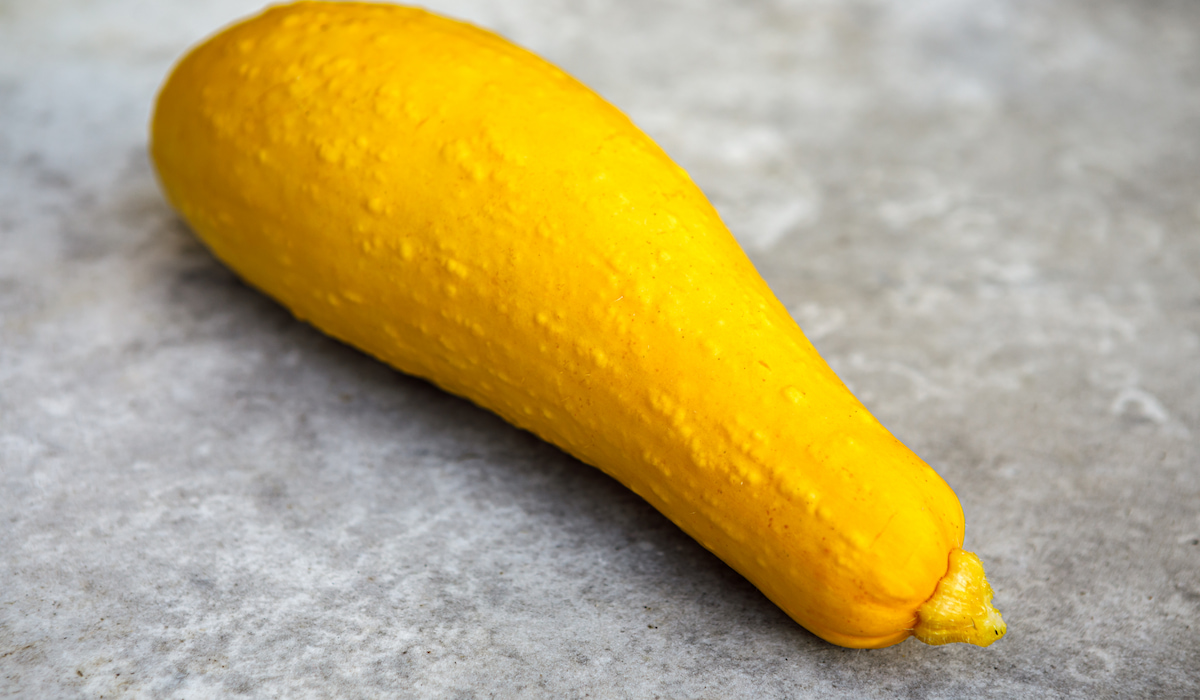 5 Vegetables That Can Be Cross-Pollinated With Pumpkin - Crate and Basket