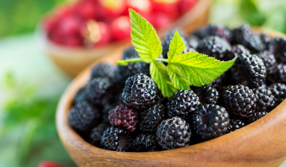 9 Types of Edible Berries - Crate and Basket