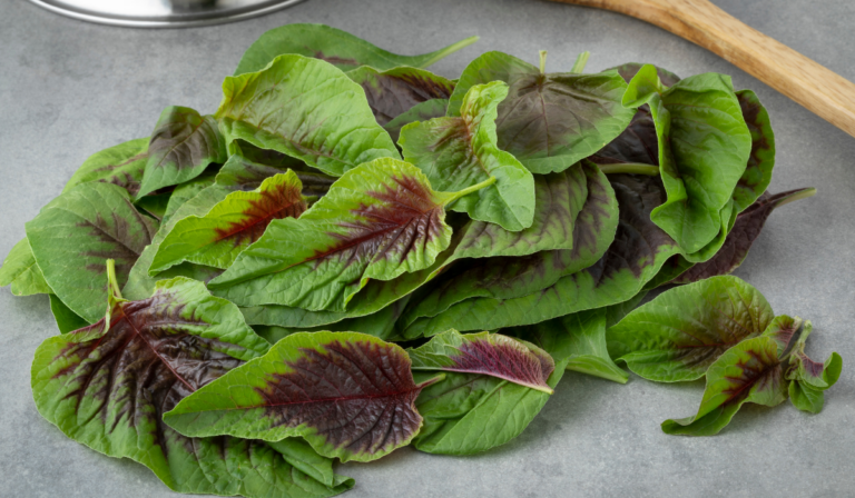 23 Types of Edible Leaves - Crate and Basket
