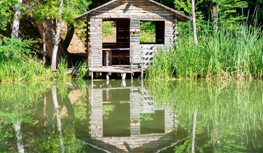 5 Tips for Removing Reeds from Your Pond - Crate and Basket