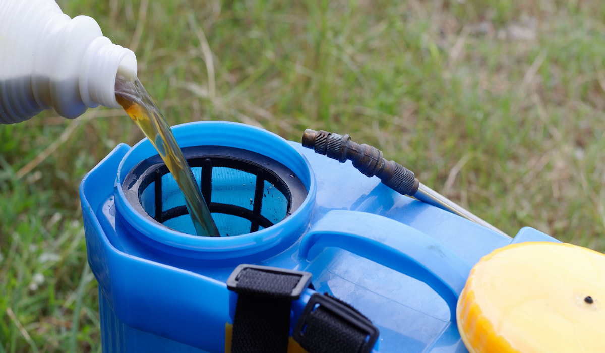 5 Tips for Removing Reeds from Your Pond - Crate and Basket