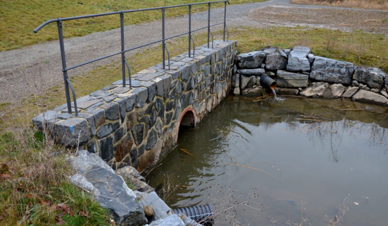Do Garden Ponds Overflow When It Rains? - Crate and Basket