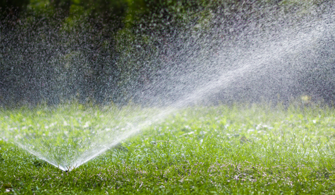 How Long to Water Plants with Sprinkler? - Crate and Basket