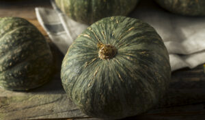 Types of Green Squash - Crate and Basket