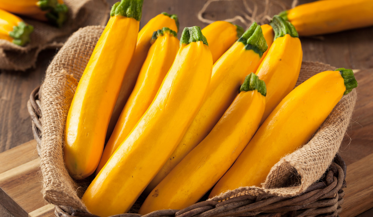19 Types of Yellow Squash - Crate and Basket