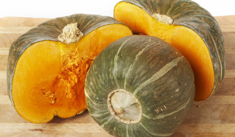 Types of Green Squash - Crate and Basket