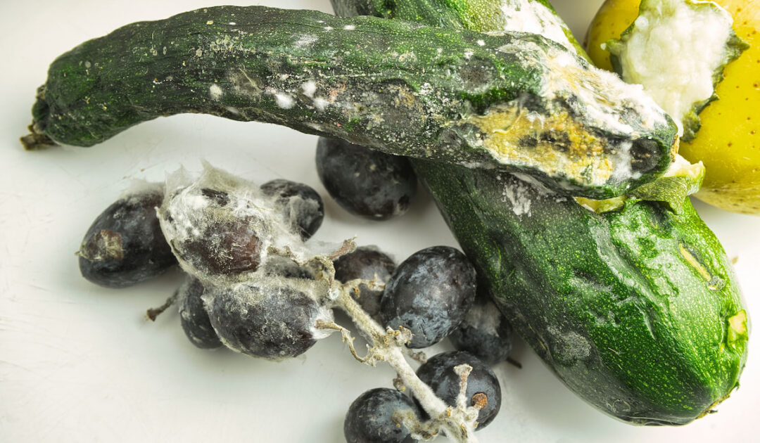 7 Ways to Tell if Your Zucchini Is Bad - Crate and Basket