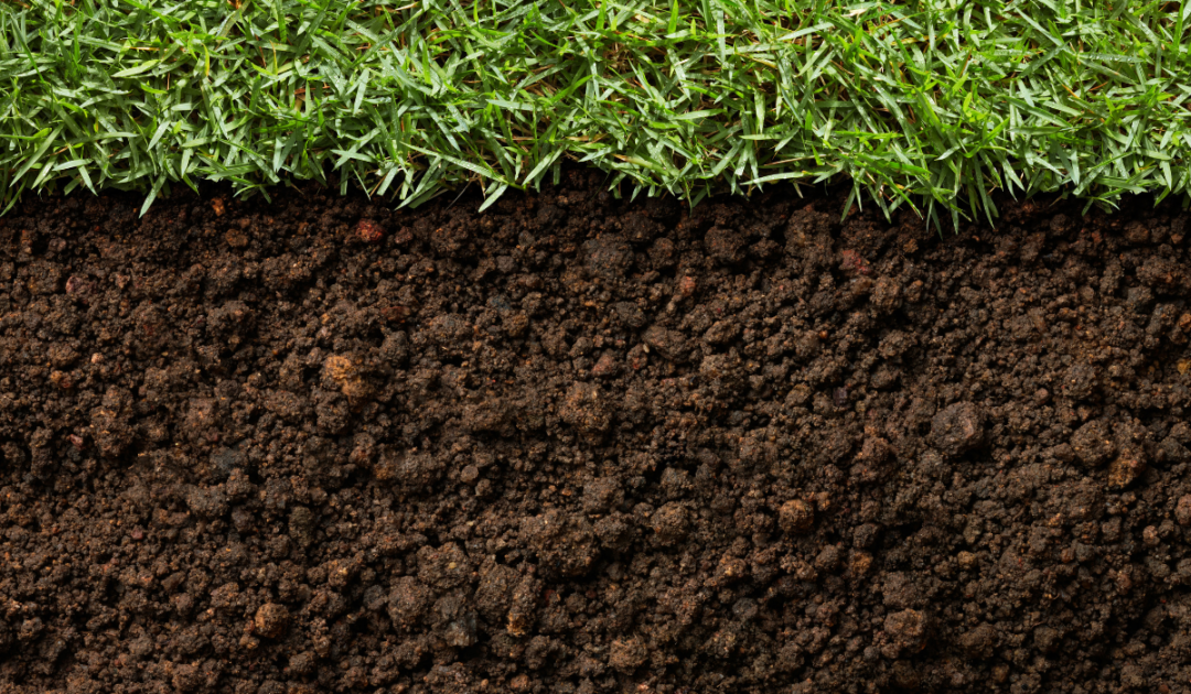 What Is Fill Dirt and How Do You Use It? - Crate and Basket