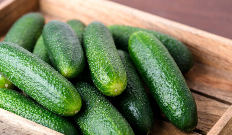 25 Best Cucumber Varieties for Your Garden - Crate and Basket
