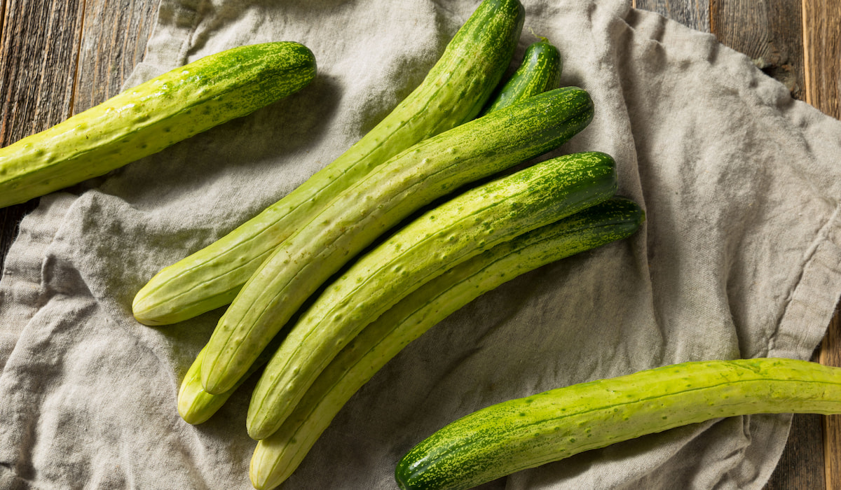 11 Unusual Cucumber Varieties - Crate and Basket