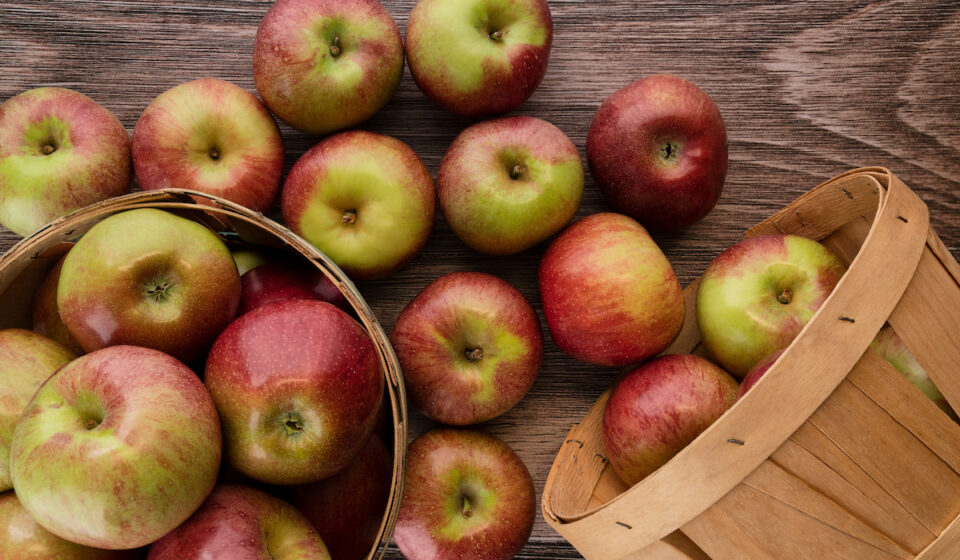 41 Types of Apples and Their Uses - Crate and Basket