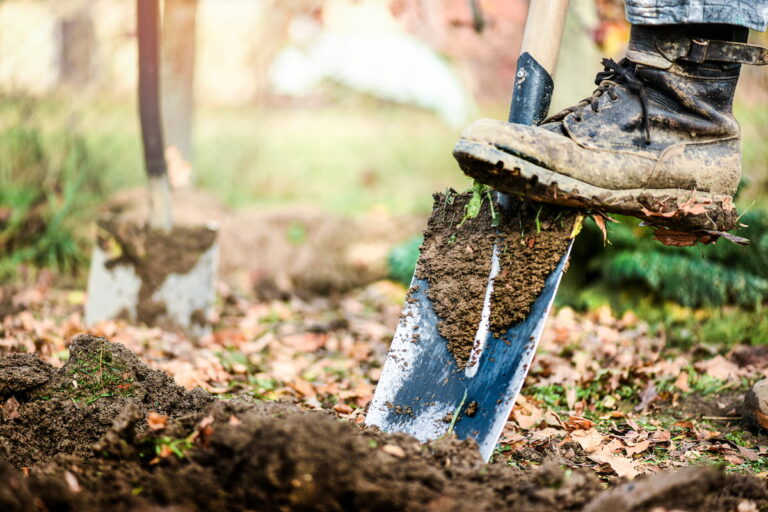 Shovel vs. Spade (What’s the Difference?) - Crate and Basket