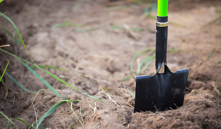 13 Types of Shovels (and When to Use Them) - Crate and Basket