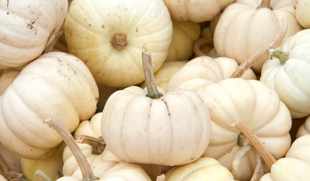 23 Types of Miniature Pumpkins - Crate and Basket