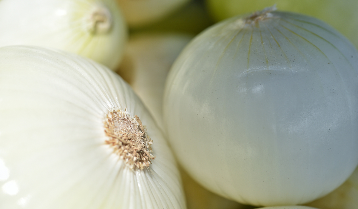 9 Types of White Onions - Crate and Basket