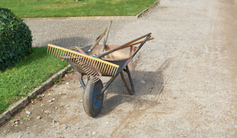 7 Best Rakes for Rocks - Crate and Basket